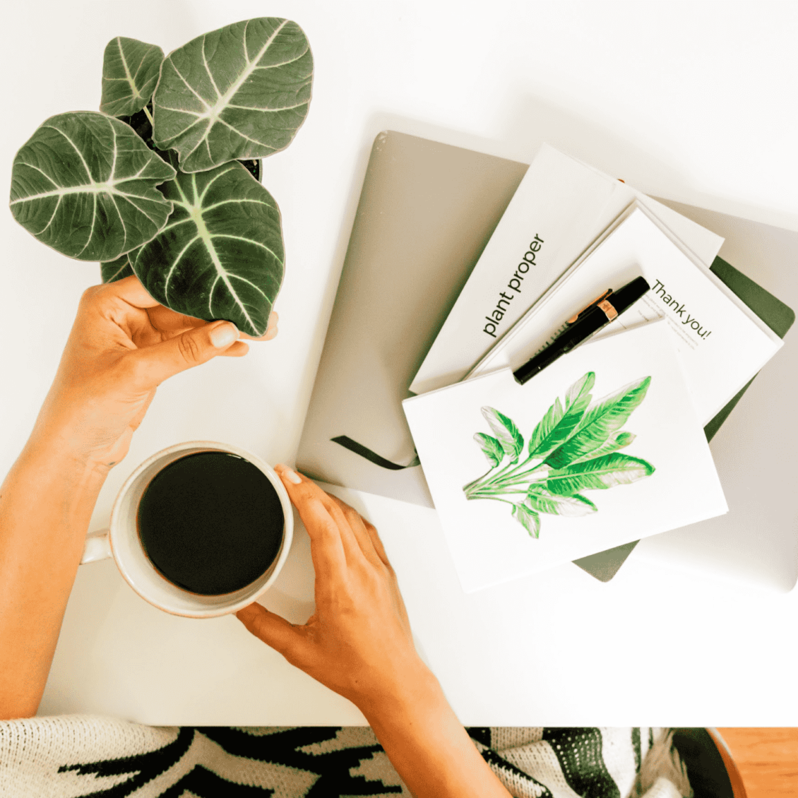 Home - Plant Proper Cares